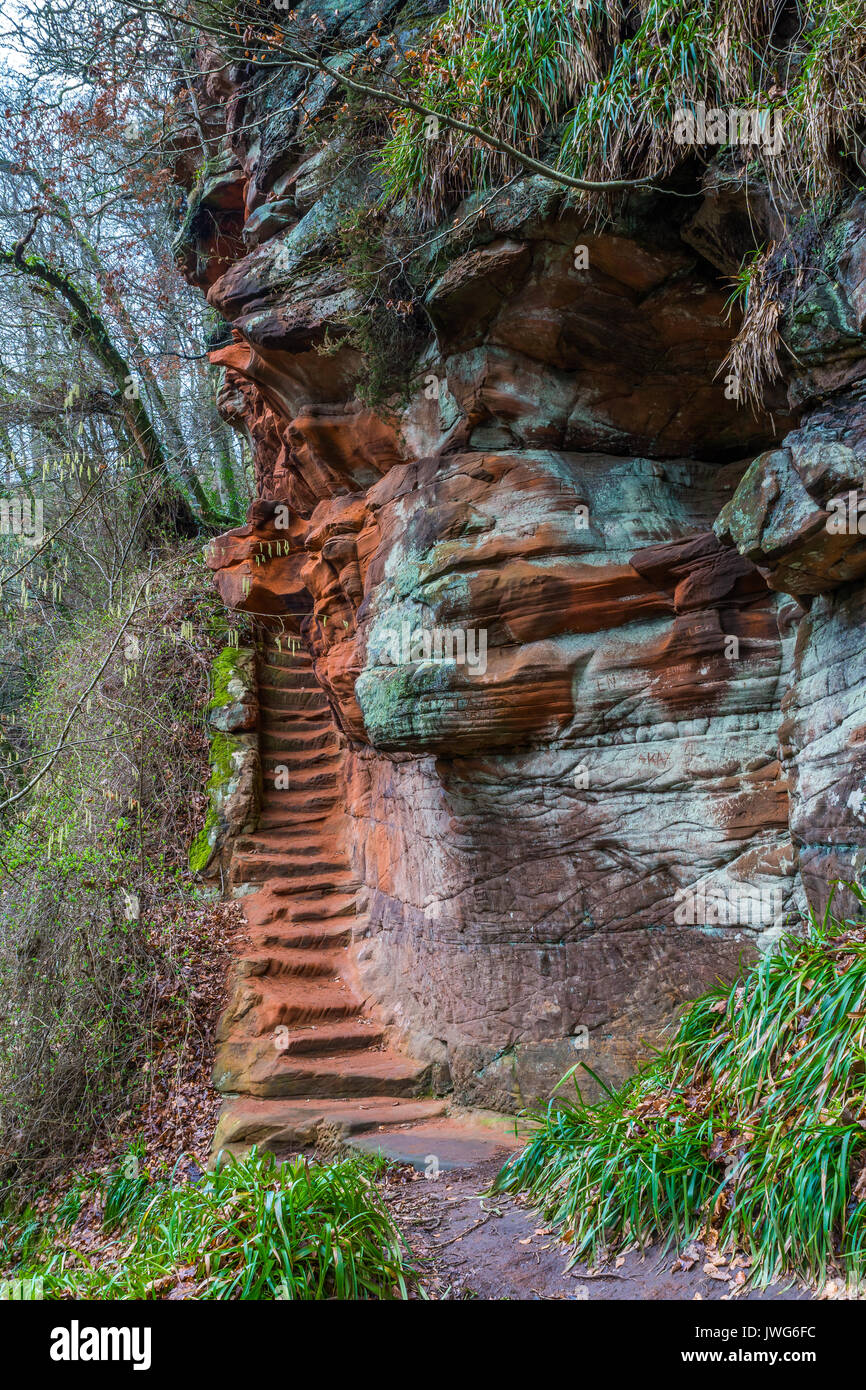 Peden's staircase carved into the sandtone cliff, Ayr Gorge Stock Photo ...