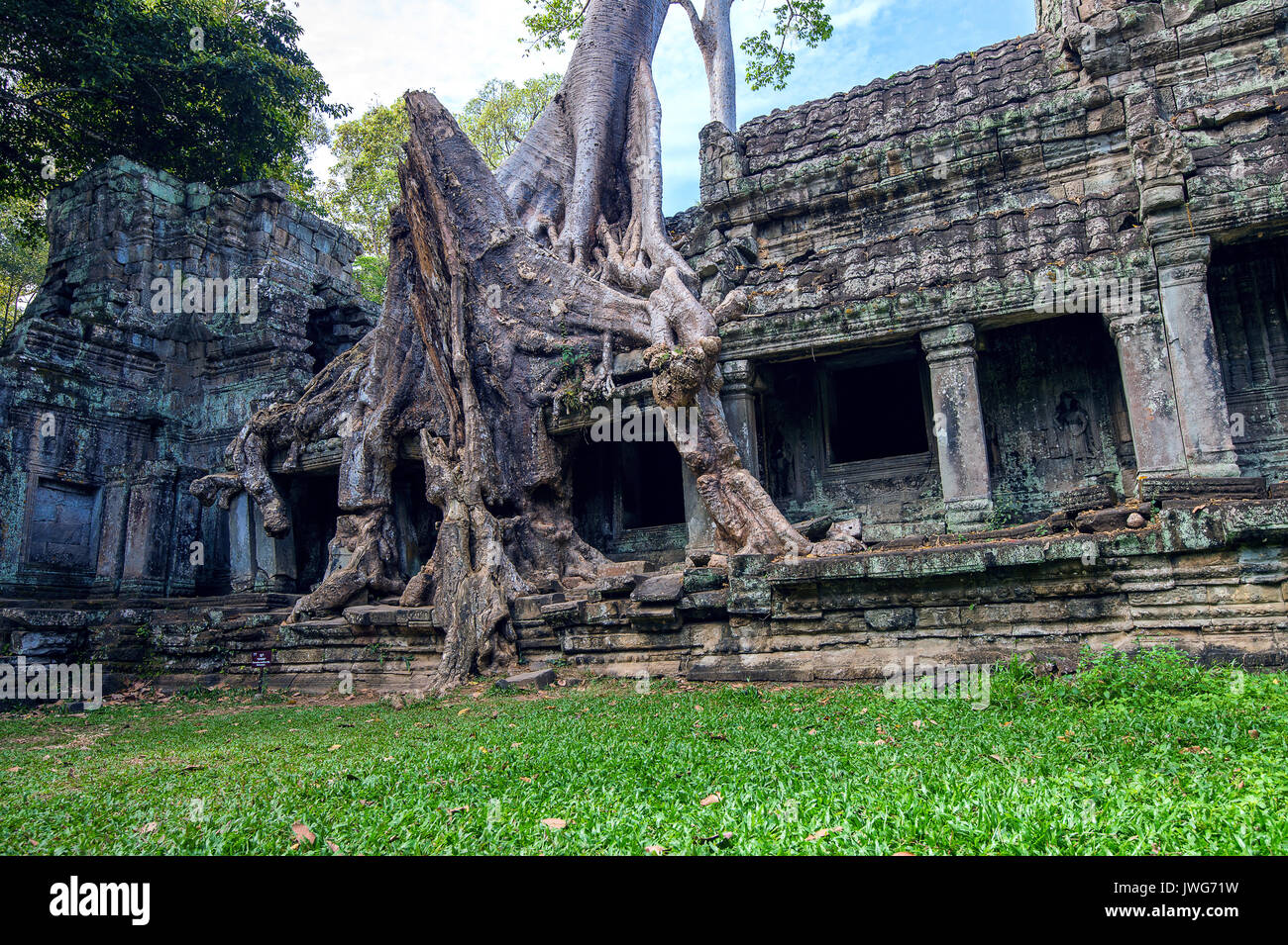 Trees growing out of Ta Prohm temple, Angkor Wat in Cambodia Stock ...