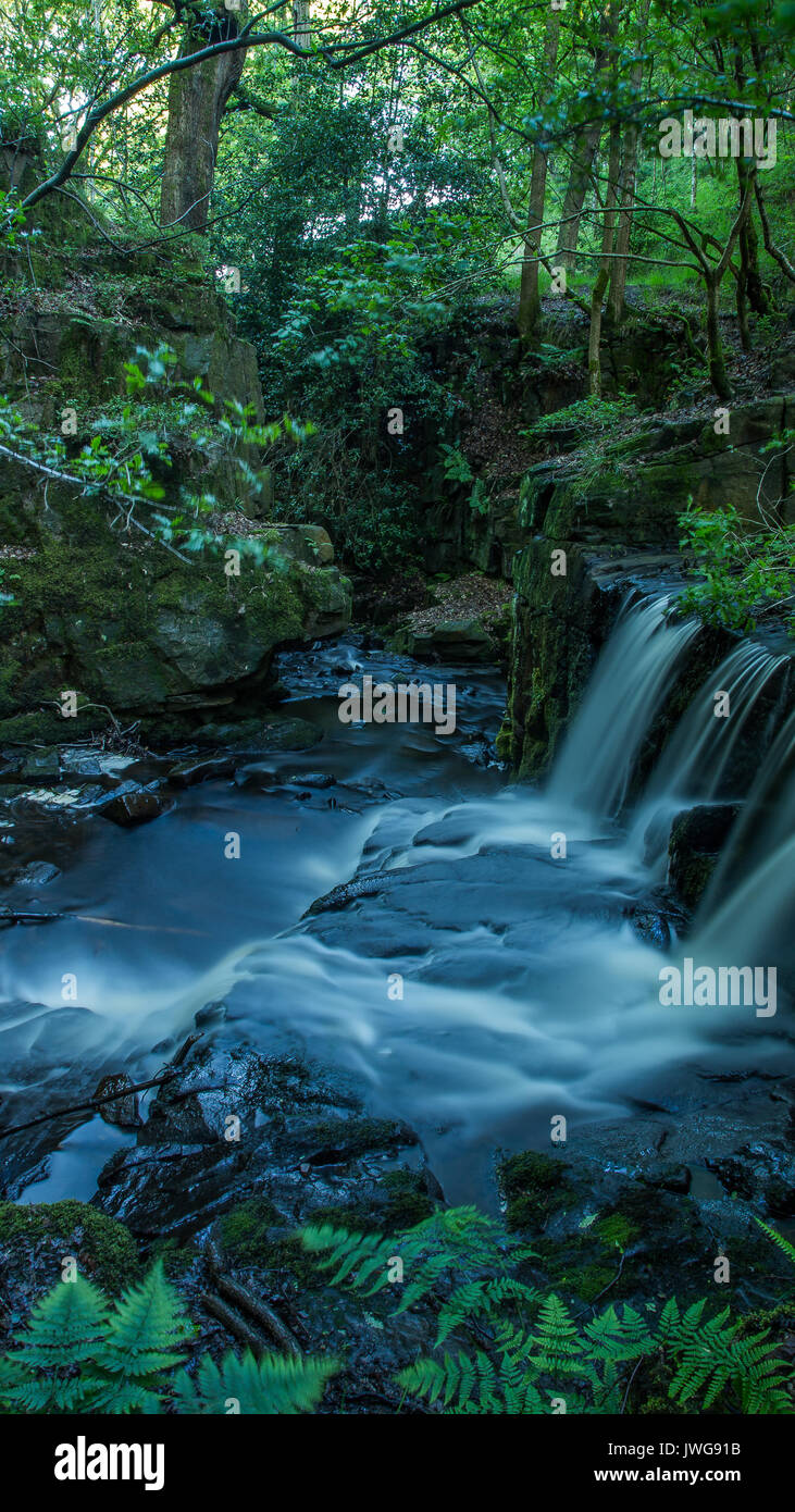 Tiger clough waterfall hi-res stock photography and images - Alamy