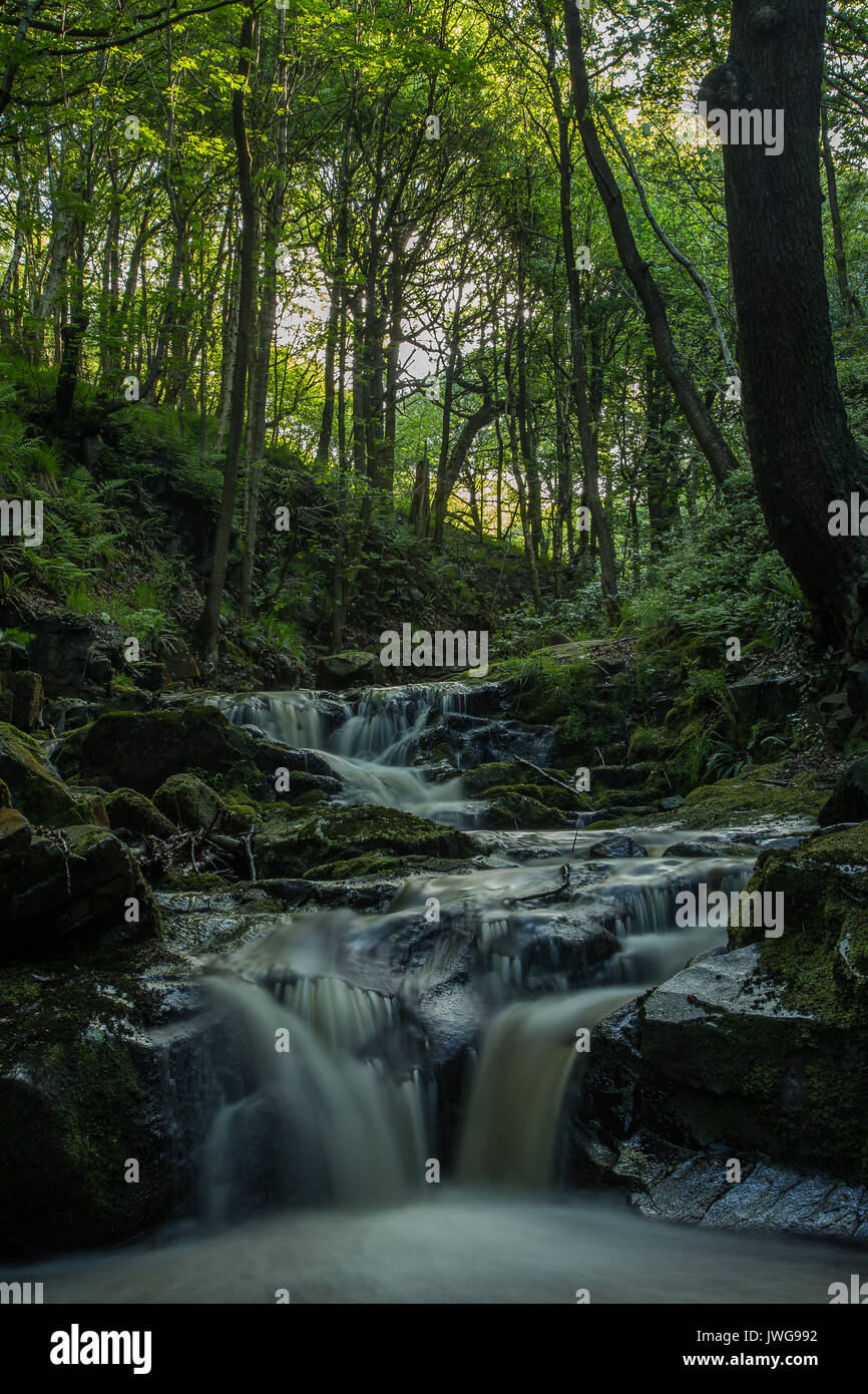 Tiger clough waterfall hi-res stock photography and images - Alamy