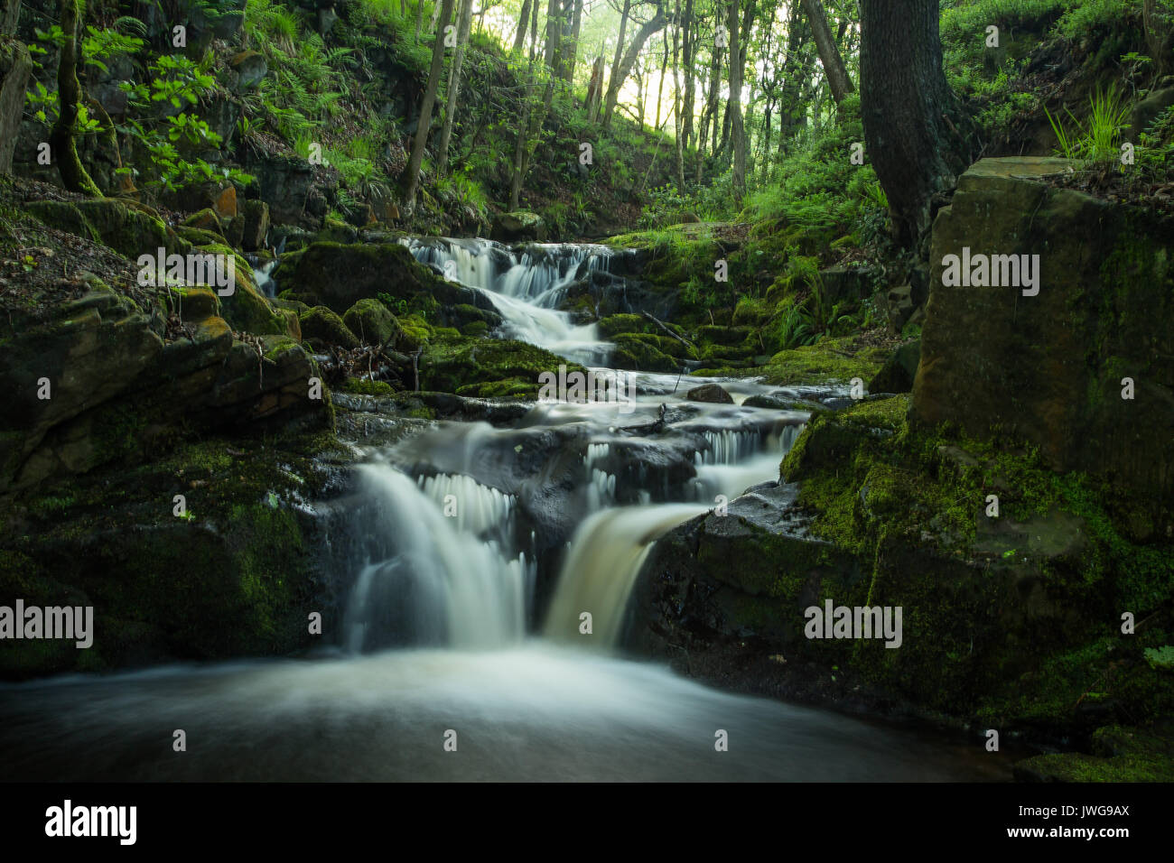 Tiger clough waterfall hi-res stock photography and images - Alamy