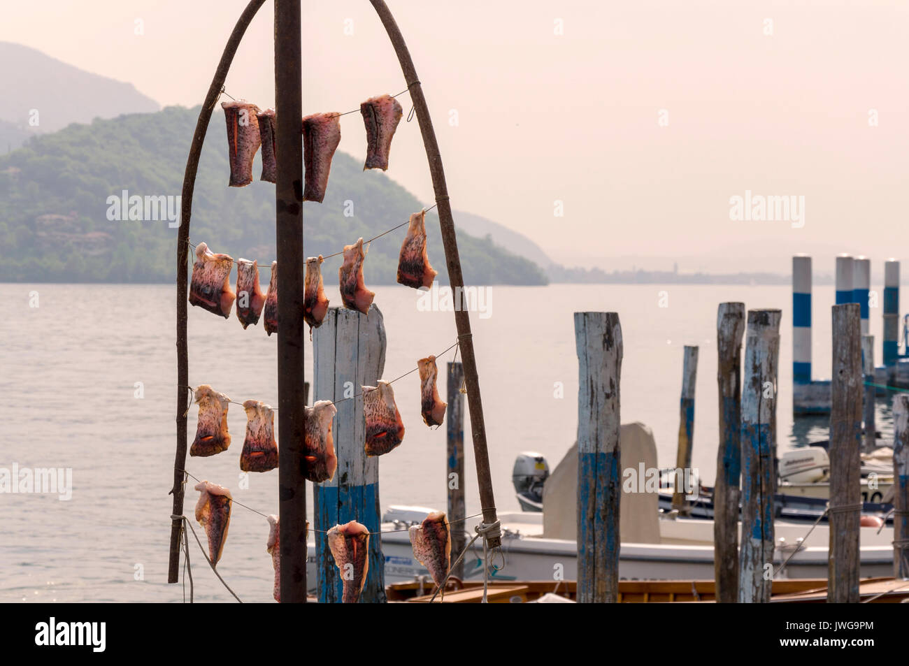 Fish hanging on rack to dry at Peschiera Maraglio, Monte Isola, Lake ...