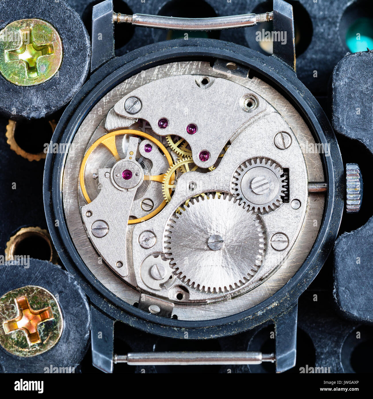 watchmaker workshop - open old watch fixed in plastic holder for ...