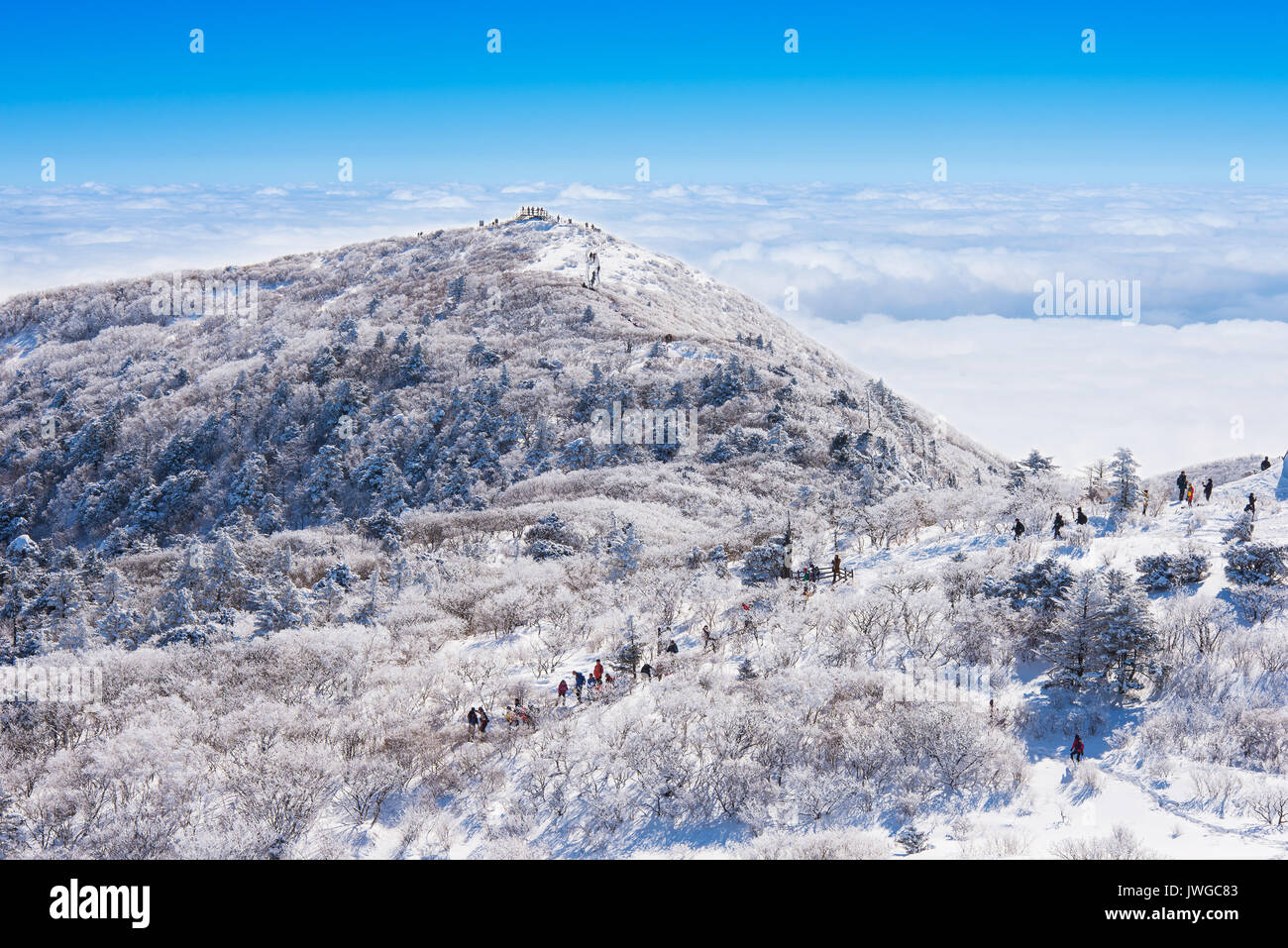 Landscape in winter,The highest point of mountain in Korea Stock Photo ...