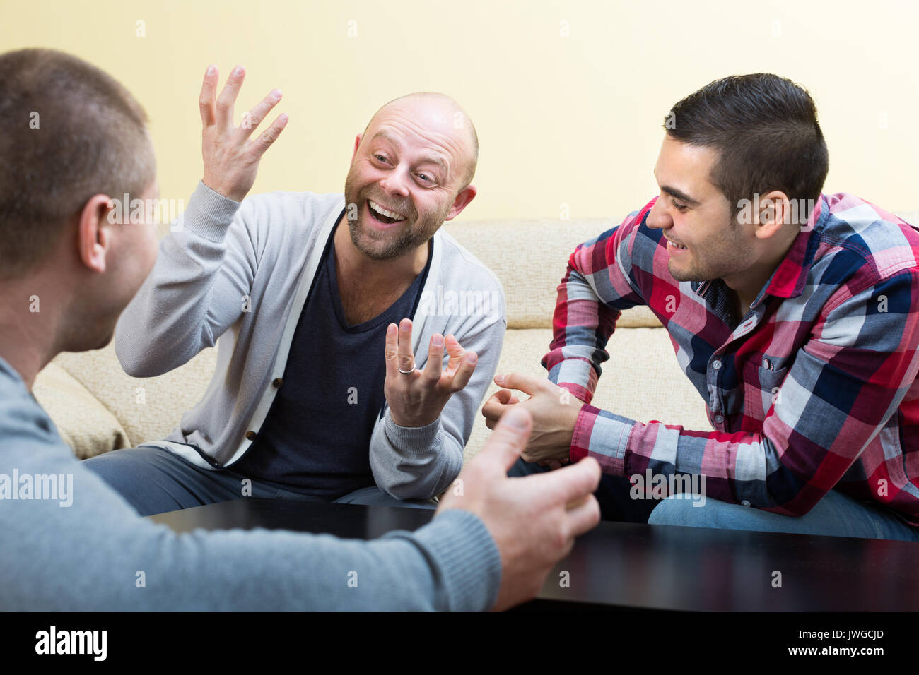 Three cheerful smiling guys having positive conversation at home Stock ...