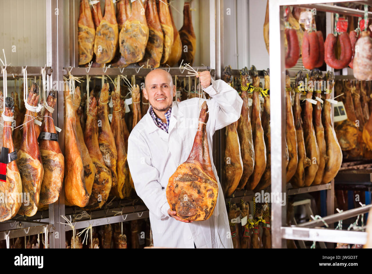 Mature experienced butcher posing with jamon joints at the meat factory ...