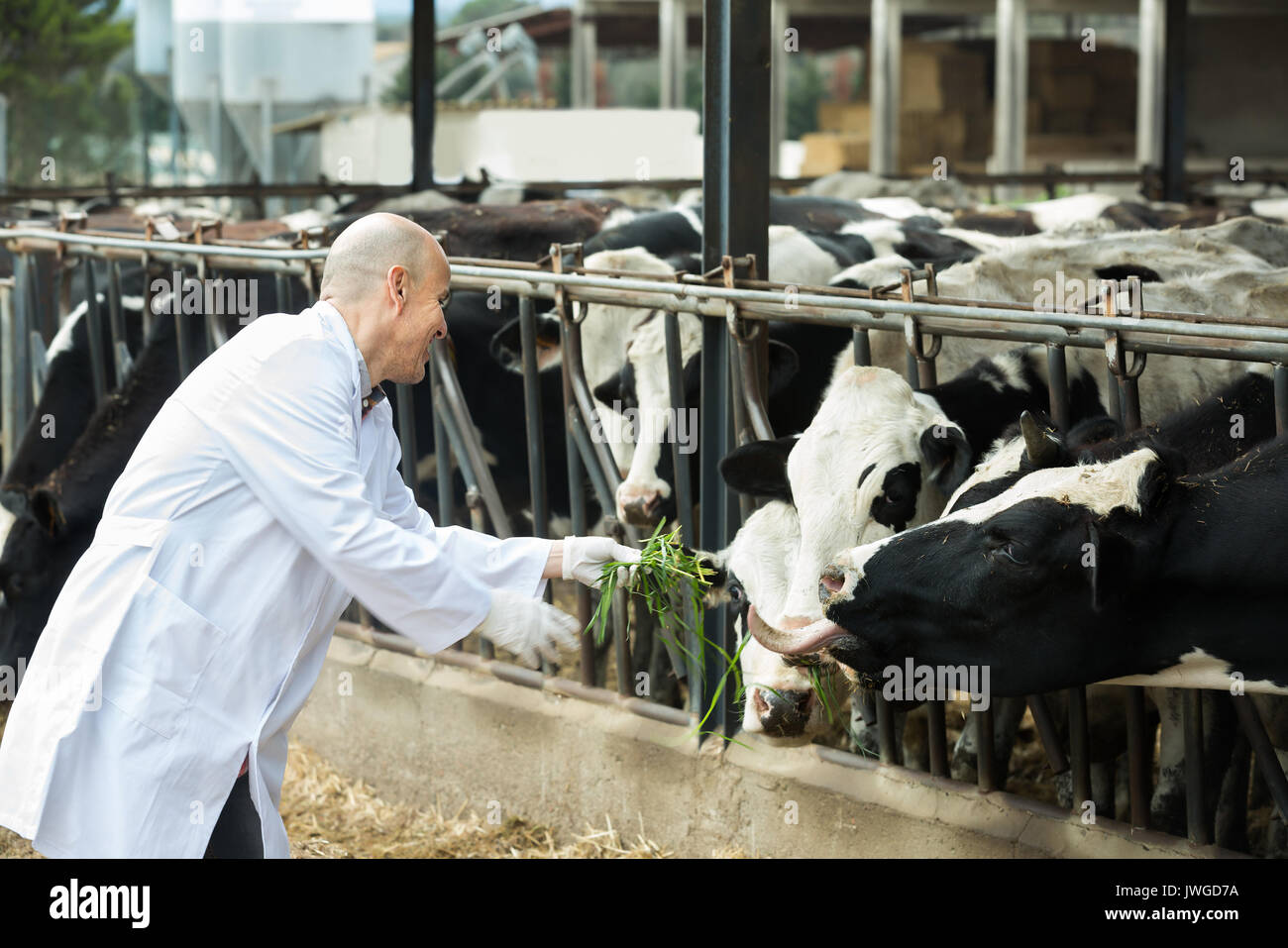 Veterinary technician farm hi-res stock photography and images - Alamy