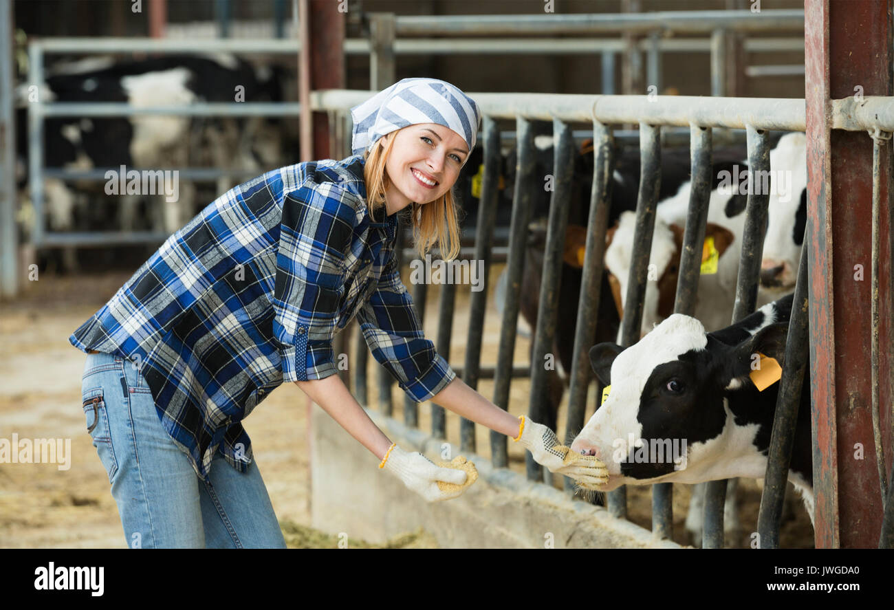 Woman vet with cows hi-res stock photography and images - Alamy