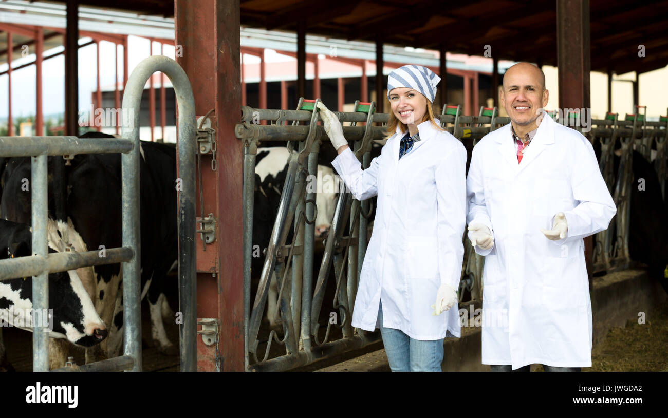 Cheerful farm employees standing near milking herd in barn and smiling ...