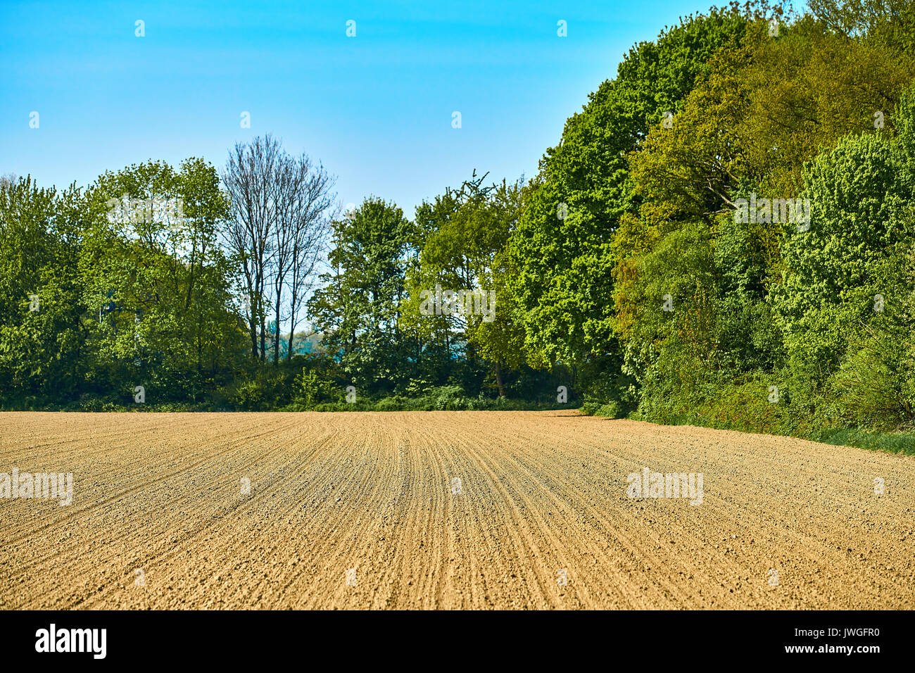 agricultural land. Agriculture farm field Stock Photo - Alamy