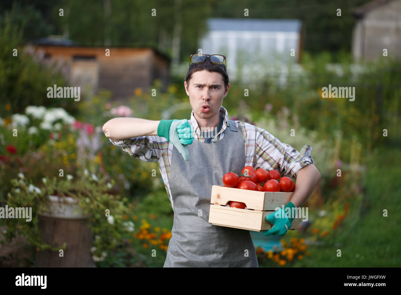 Man with box of tomato Stock Photo - Alamy