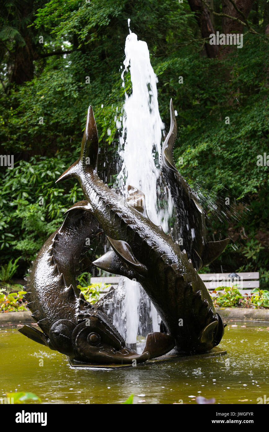 Sturgeon art hi-res stock photography and images - Alamy