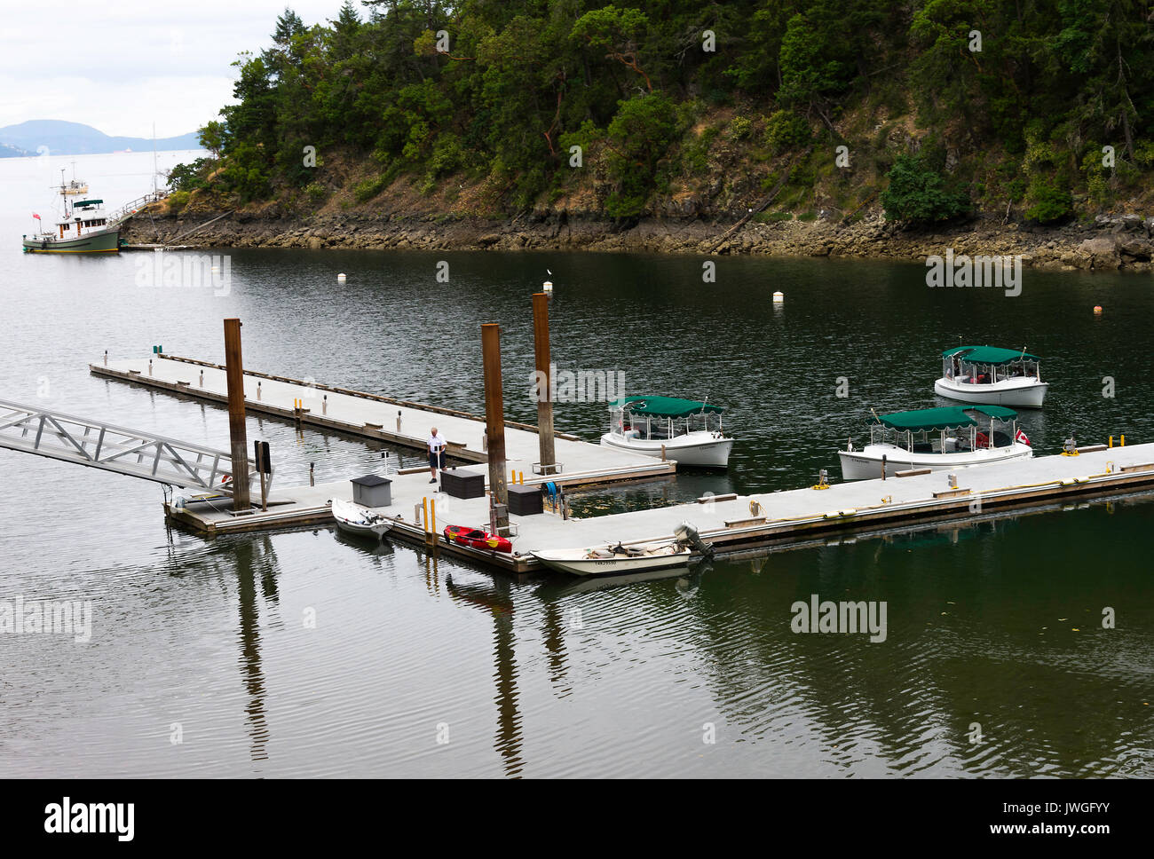 Small Passenger Tour Boats with Green Awnings on Water at Butchart Cove ...