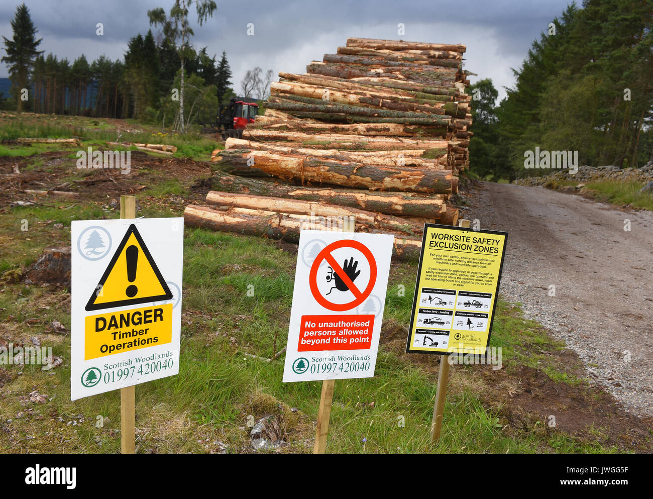 Recently felled timber ready stacked and awaiting collection to be ...