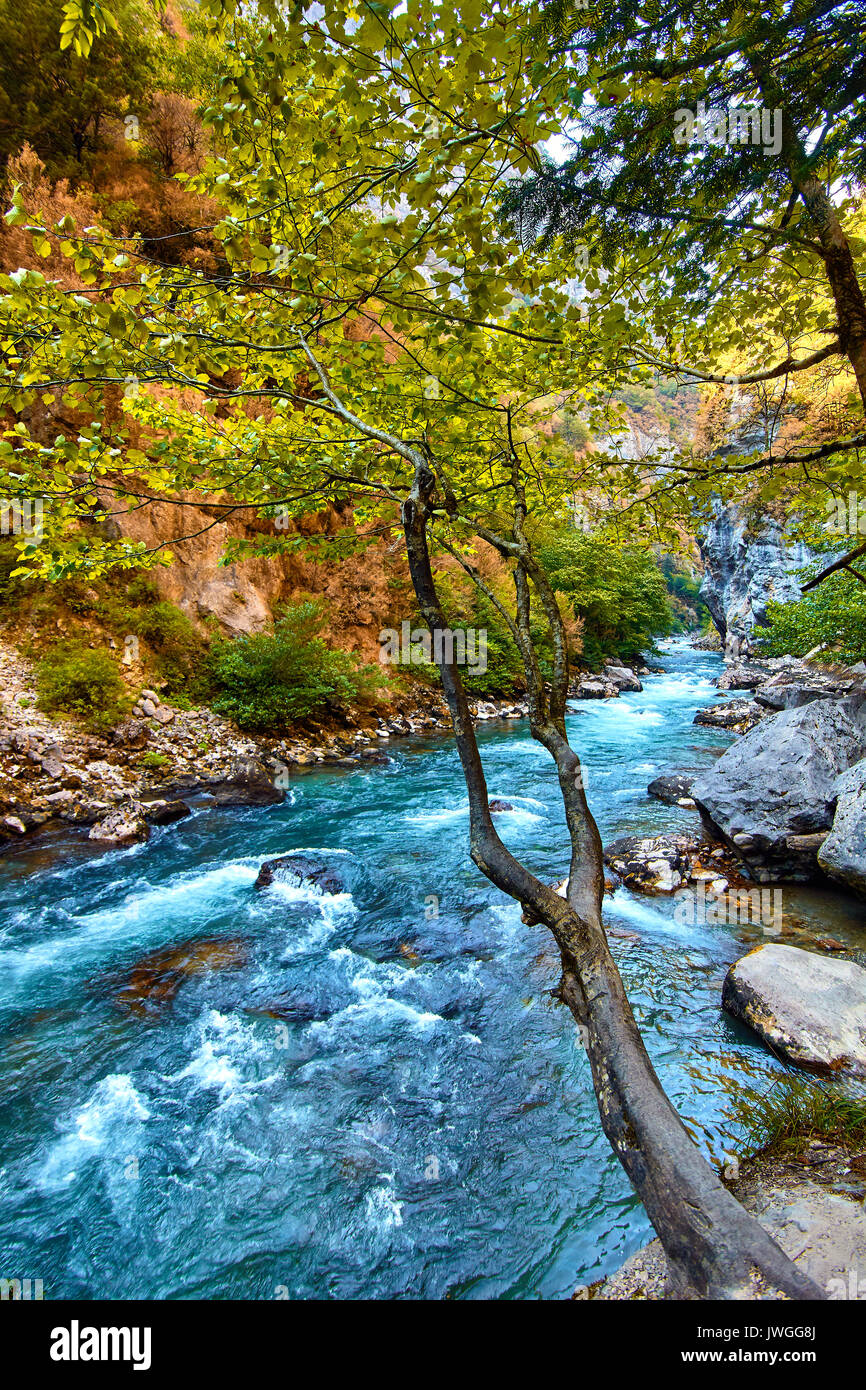 landscape with mountains, forest and a river. Mountain nature landscape ...