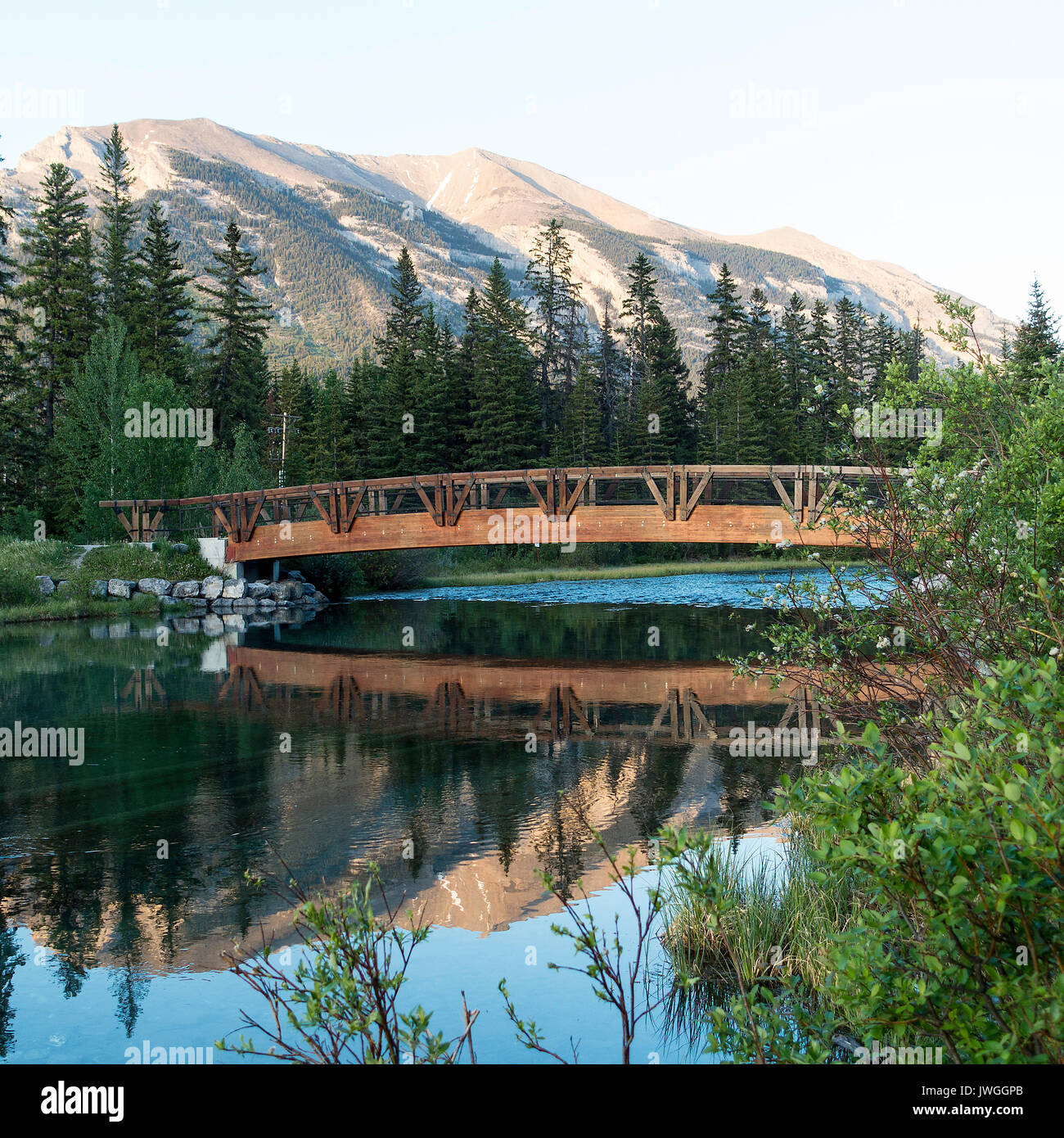 A Wooden Pedestrian Bridge Over The Bow River with Pine Forest and ...