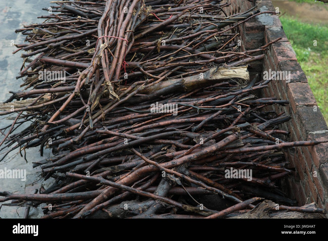pile of wood branches on the ground Kharian village Pakistan Stock ...