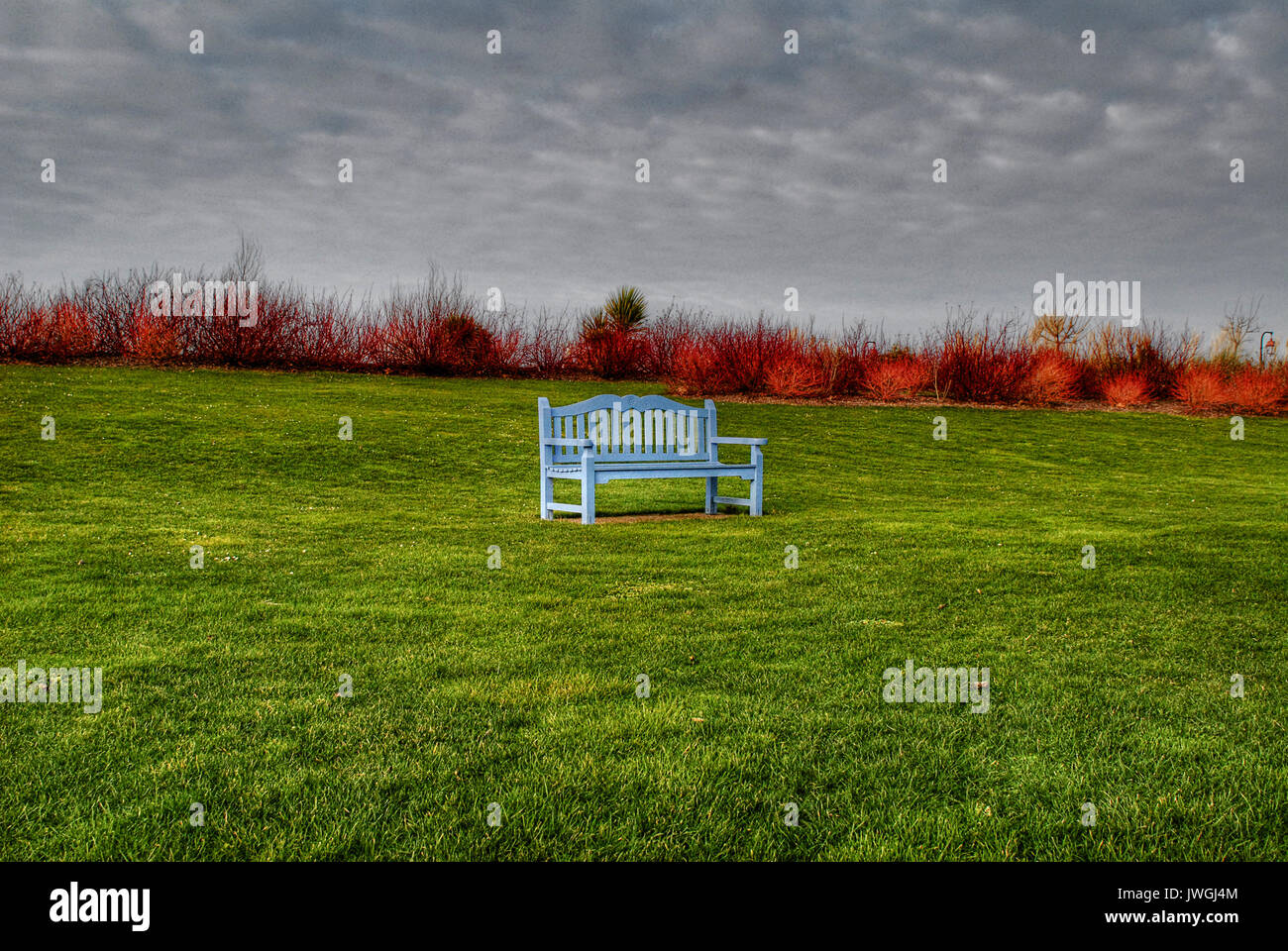 A blue bench in a park Stock Photo - Alamy