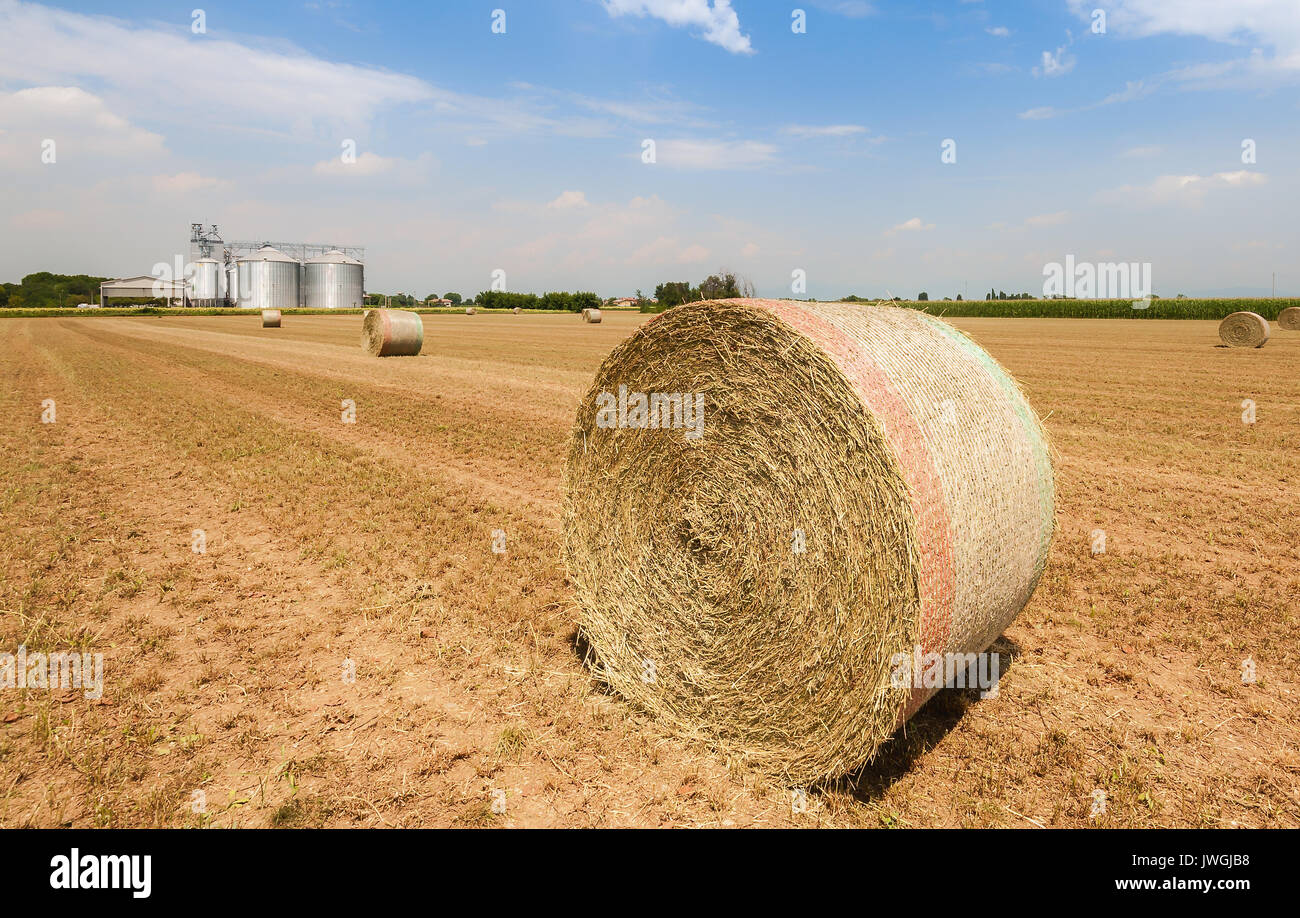 Hay roll storage hi-res stock photography and images - Alamy