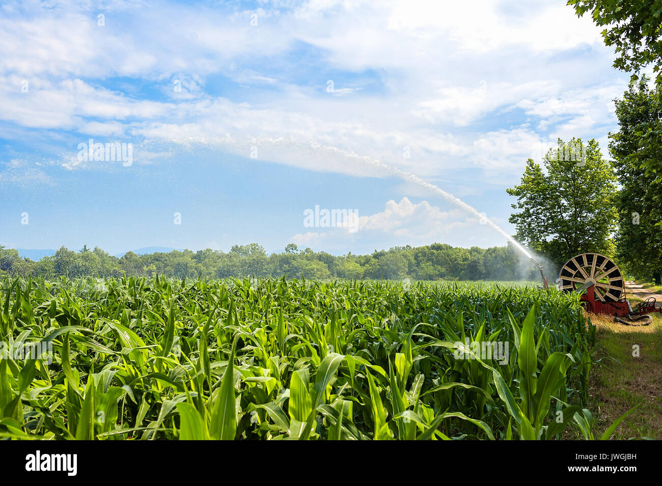 Agricultural equipment. Equipment pumping water on field of corn.Water ...