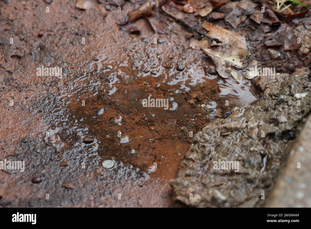 Shawnmorgan hi-res stock photography and images - Alamy