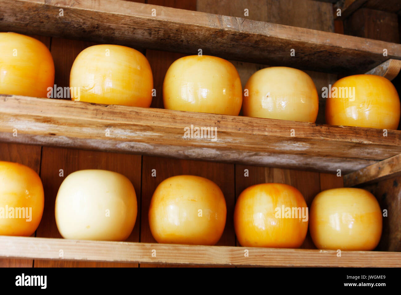 round edam cheeses in Dutch cheese shop Stock Photo - Alamy