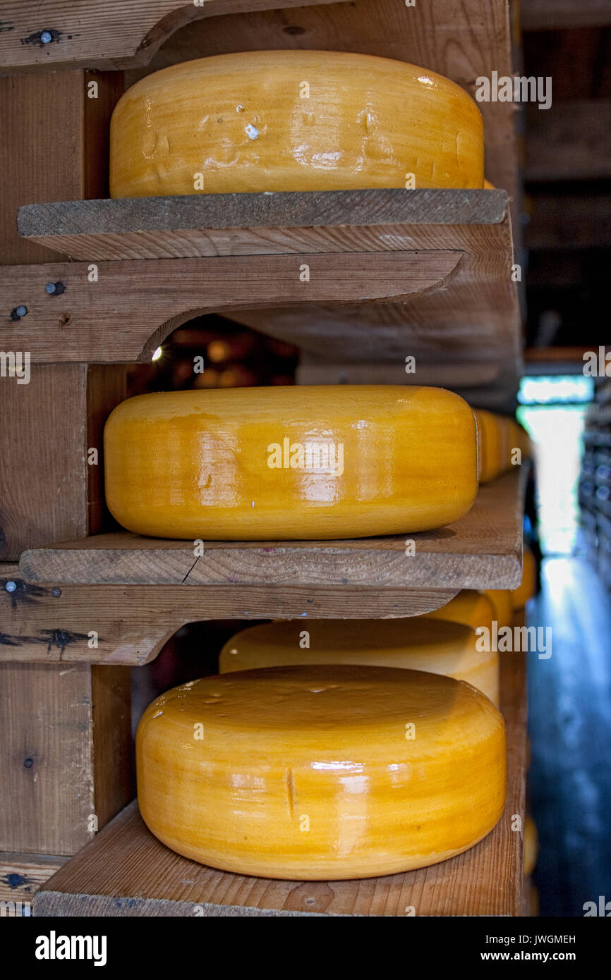 Edammers hi-res stock photography and images - Alamy