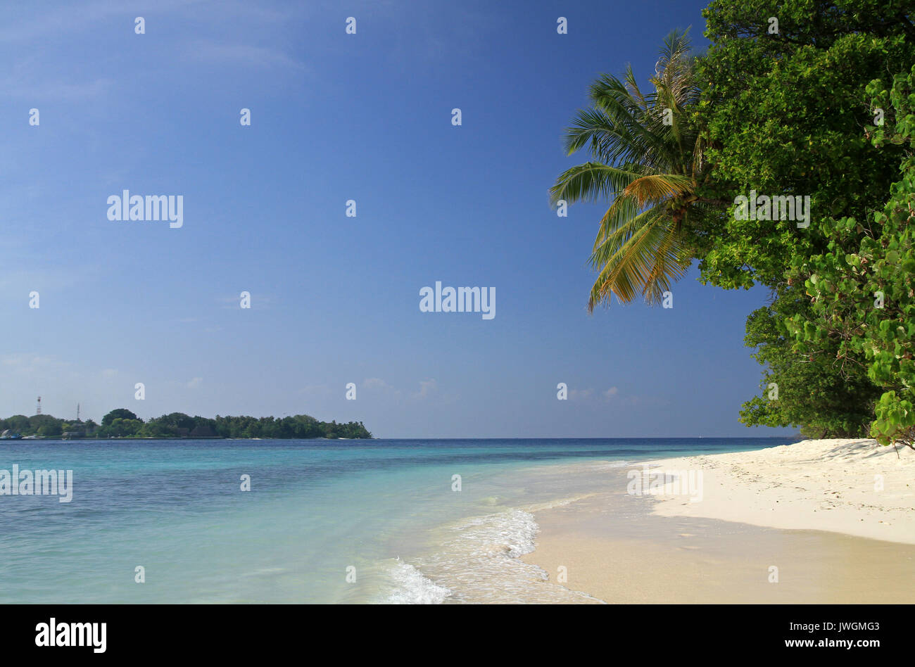 Maldivian beach, Ari Atol, Maldives Stock Photo - Alamy