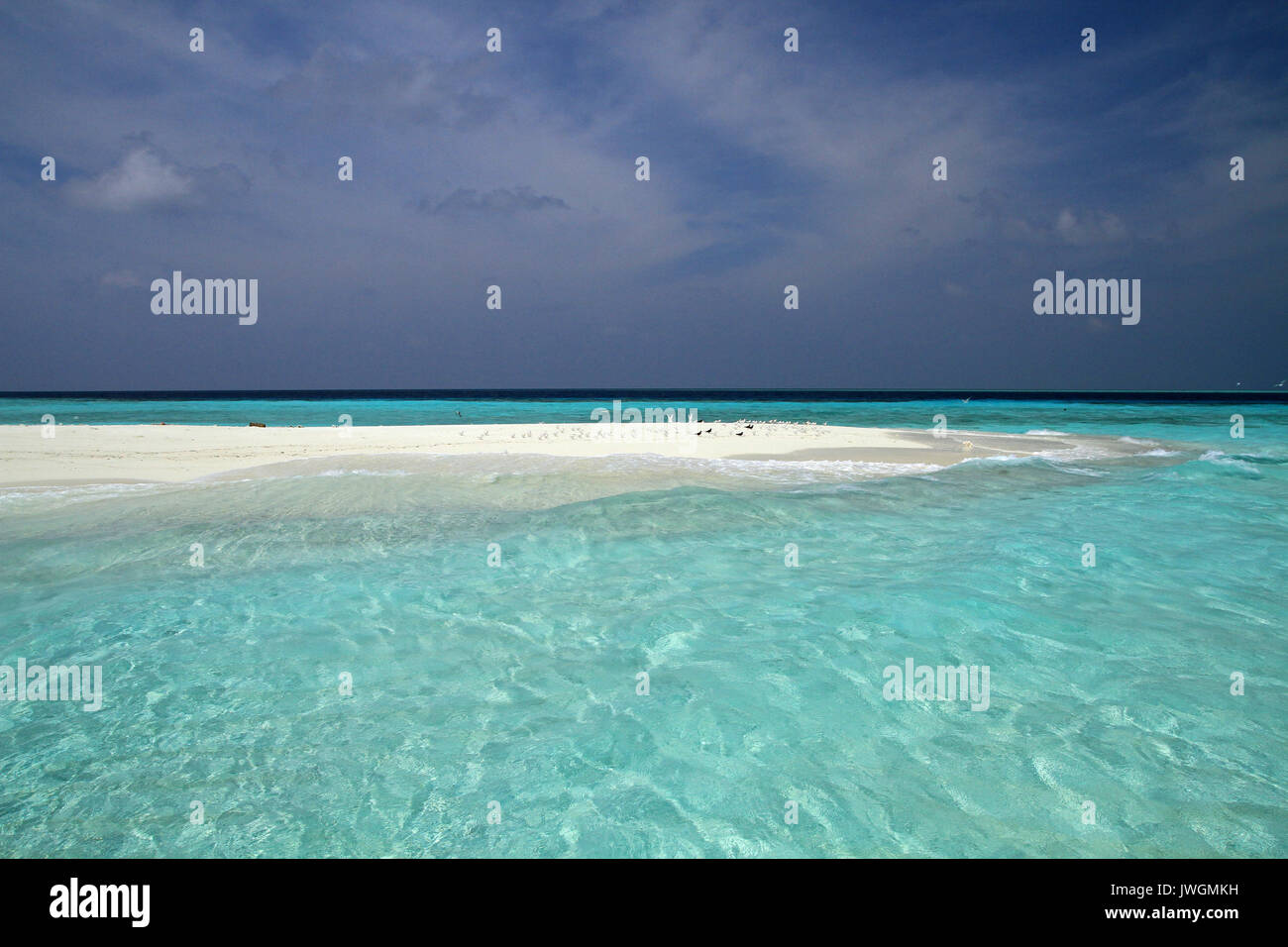 Maldivian Island, Ari Atol, Maldives Stock Photo - Alamy
