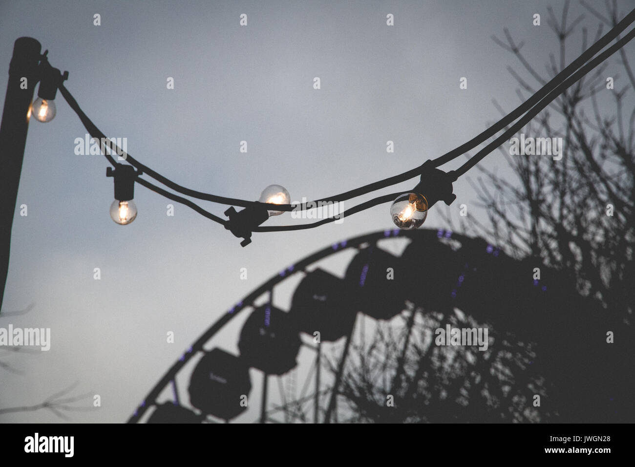 Light bulbs at night Stock Photo - Alamy