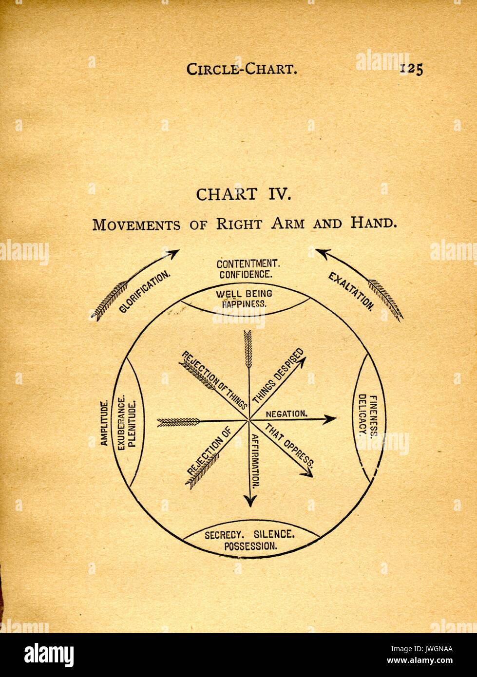 Circle chart showing movements of the right arm and hand during ...