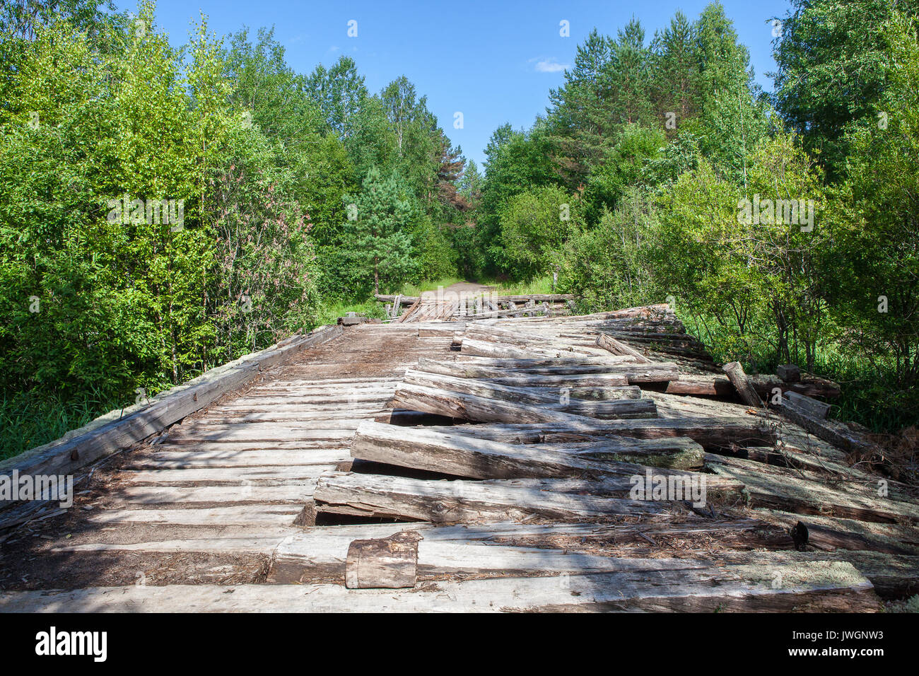 Old ruined wooden bridge on a dirt road in the forest Stock Photo - Alamy