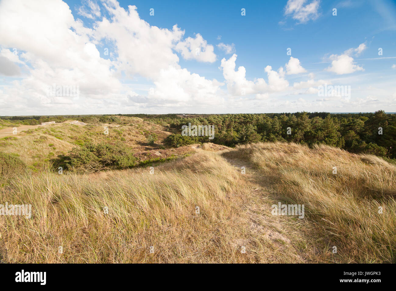 Landscape of Jutland, Denmark Stock Photo - Alamy