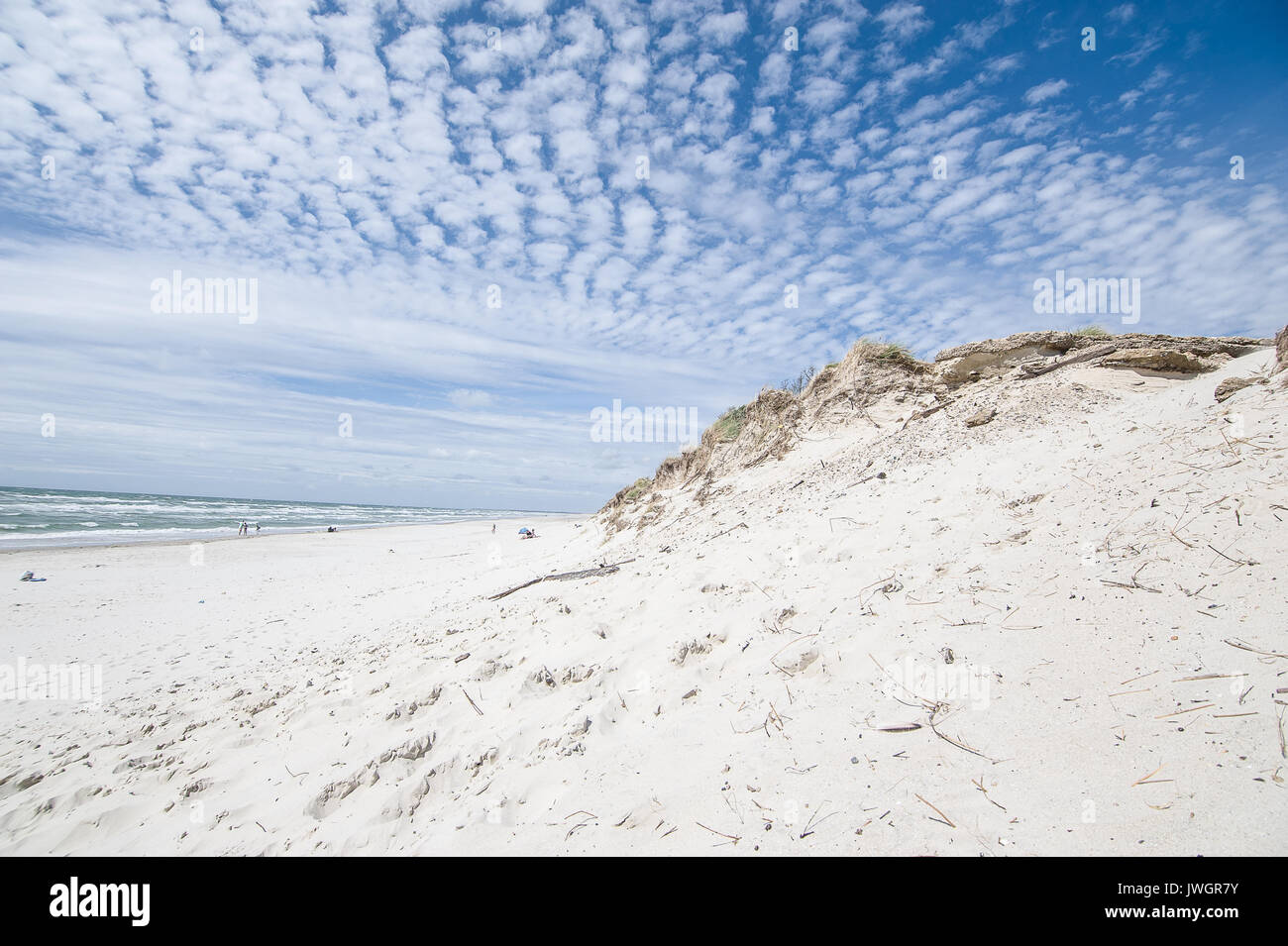 Sand dunes in Skallingen, Esbjerg, Denmark Stock Photo - Alamy