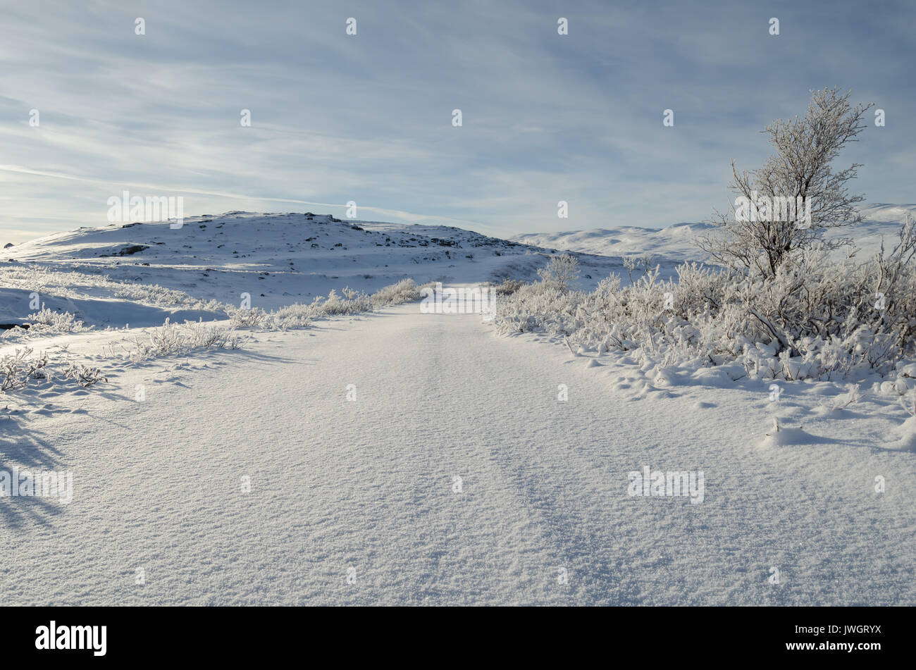 Old winter road covered in snow Stock Photo - Alamy