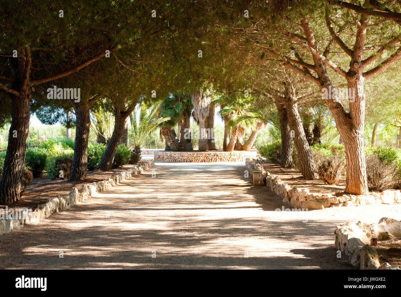 Alley in cactus garden at island Majorca, Balearic Islands, Spain Stock ...