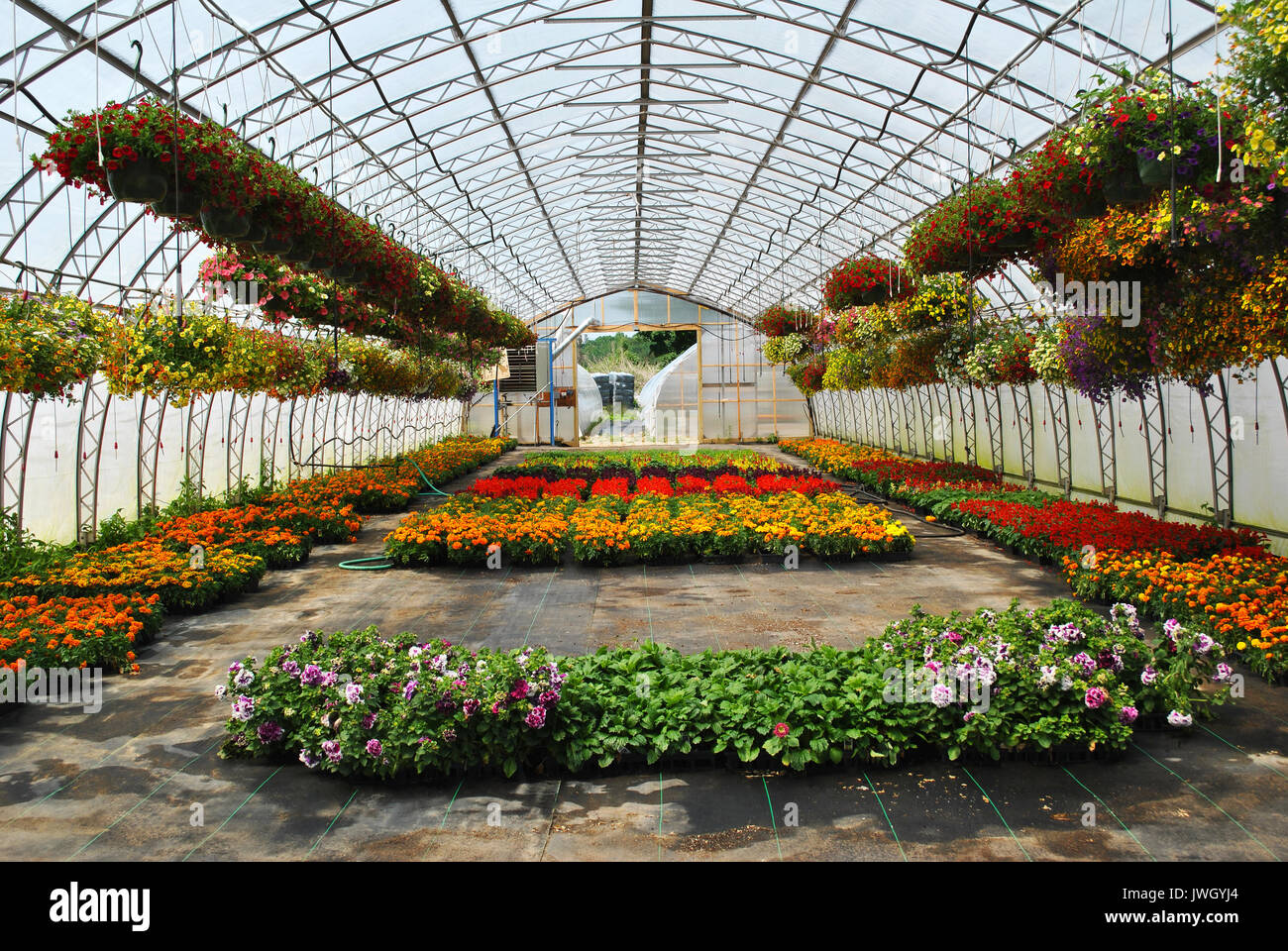 Flower pots in greenhouses hi-res stock photography and images - Alamy
