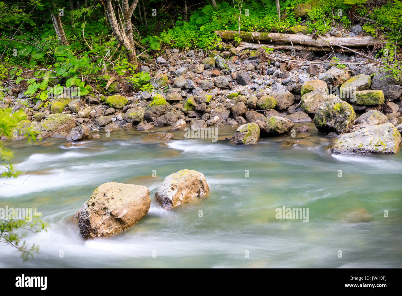 Creek flowing over rock in rainforest with slow shutter speed Stock ...