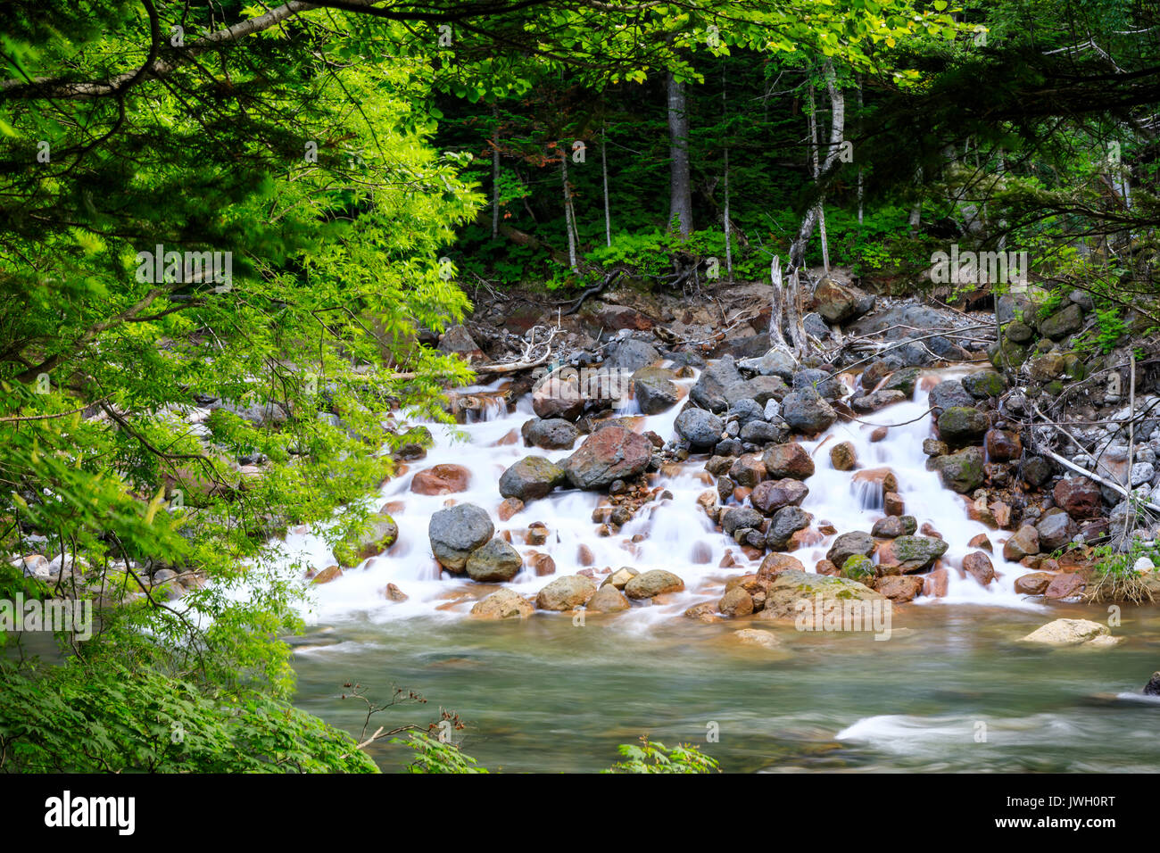 Creek flowing over rock in rainforest with slow shutter speed Stock ...
