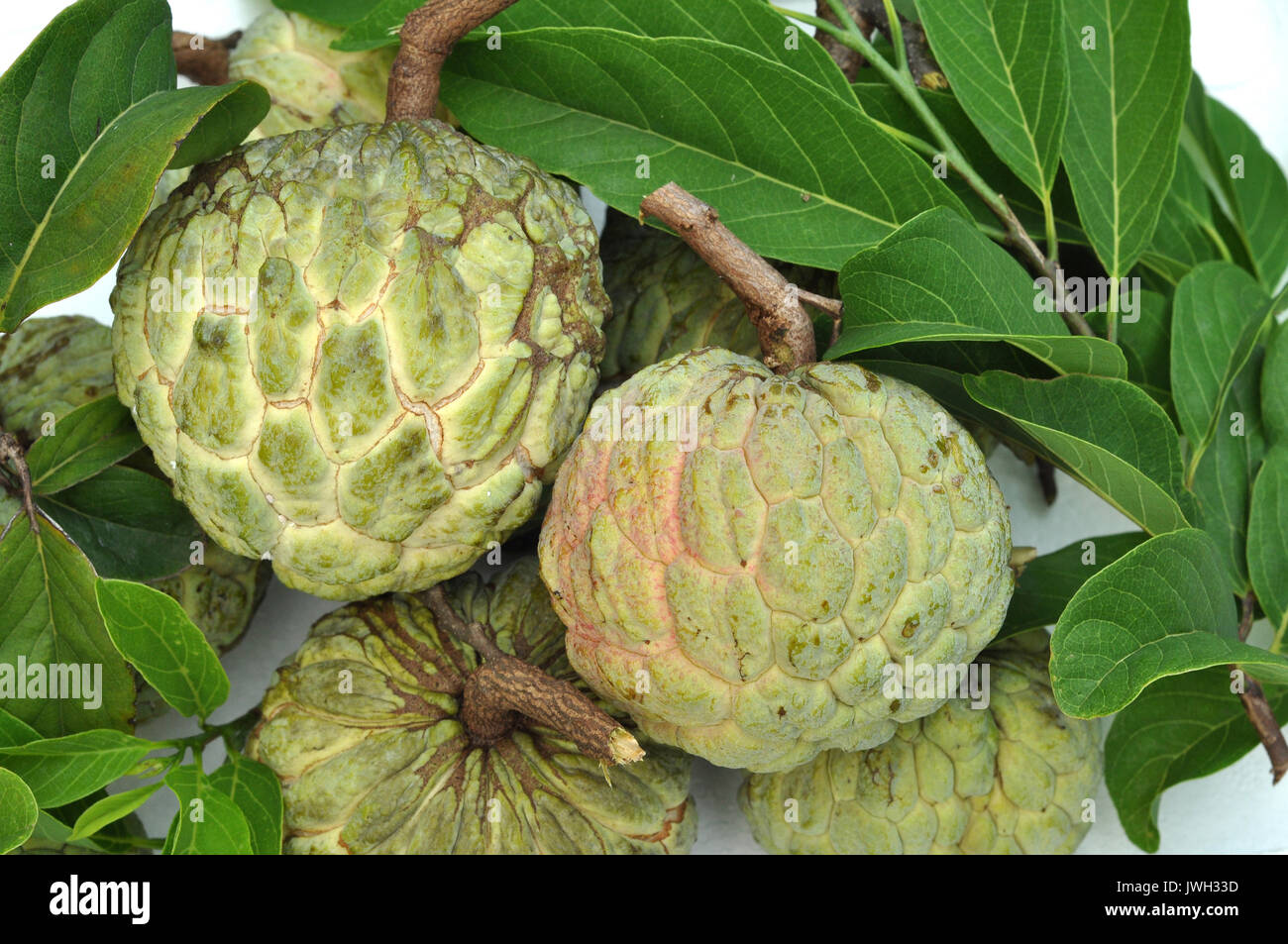 Sugar apple fruit hi-res stock photography and images - Alamy