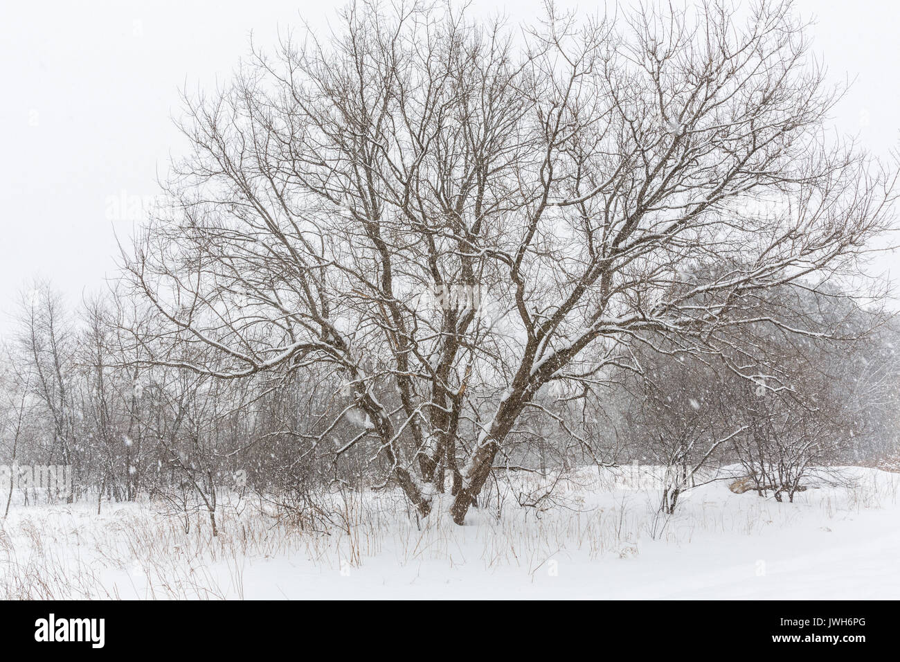 Beautiful cold winter landscape hi-res stock photography and images - Alamy