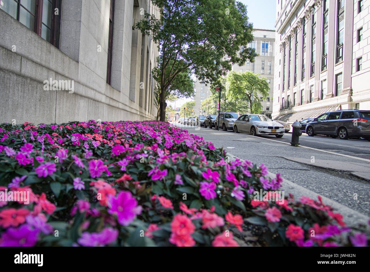 Low angle view cars hi-res stock photography and images - Alamy