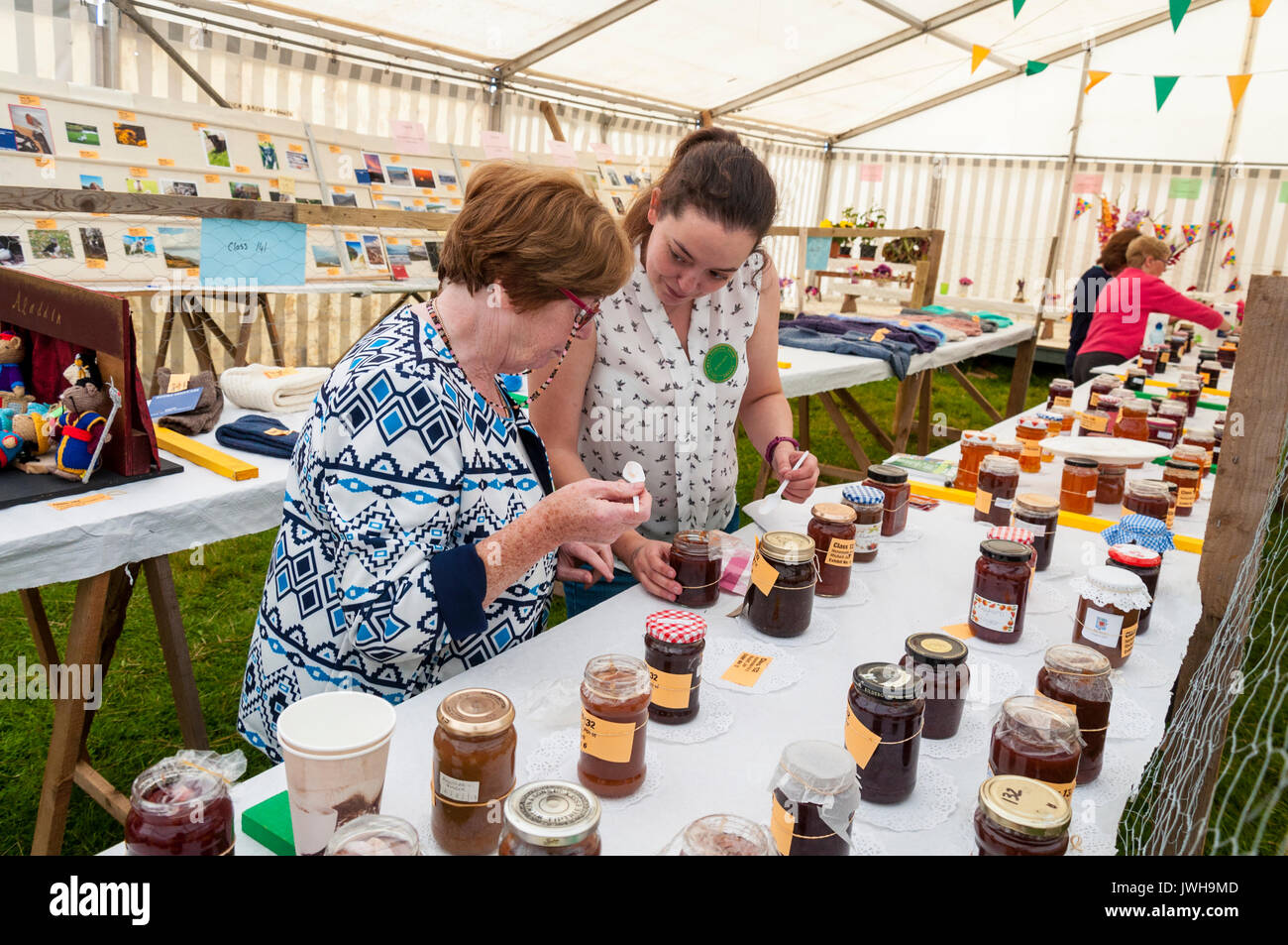 Ardara, County Donegal, Ireland. 12th Aug, 2017. The 'Ardara Show' or ...