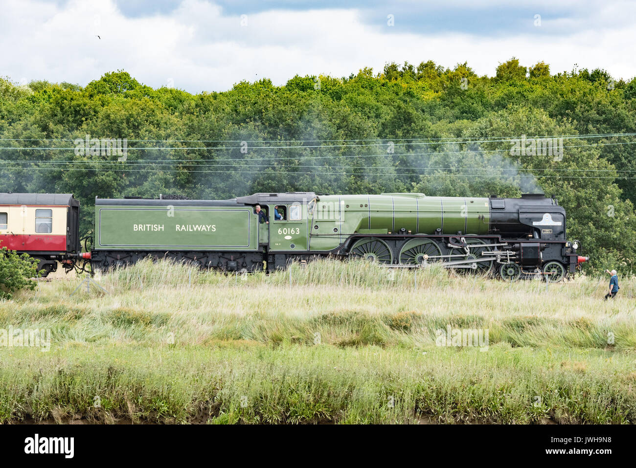 Walton 150 hi-res stock photography and images - Alamy