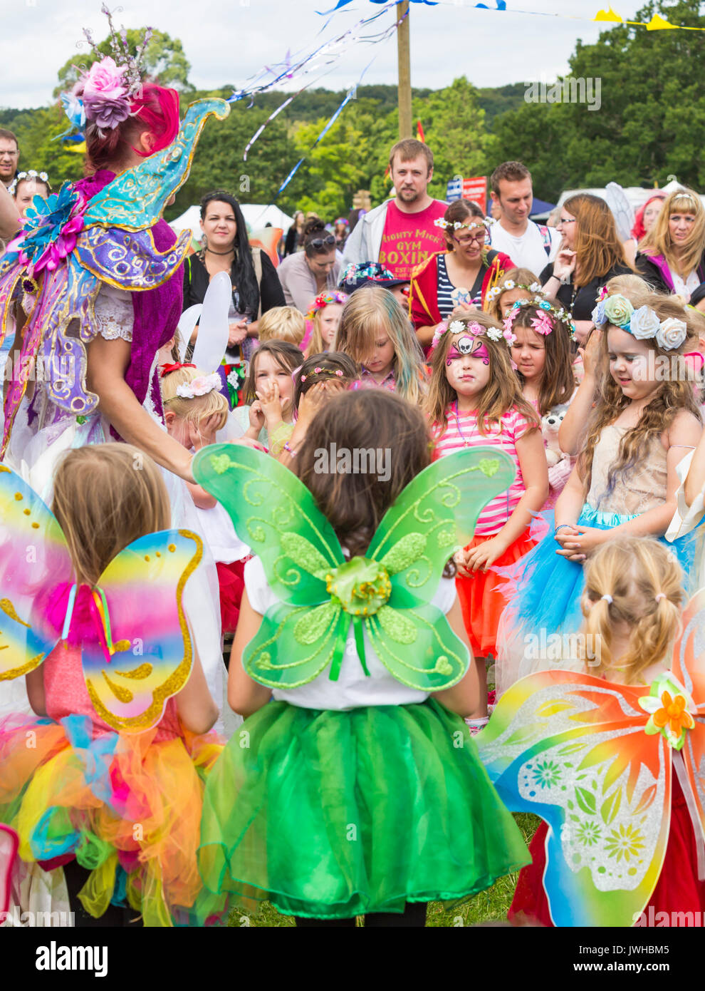 Magical kingdom of elves and fairies hi-res stock photography and ...