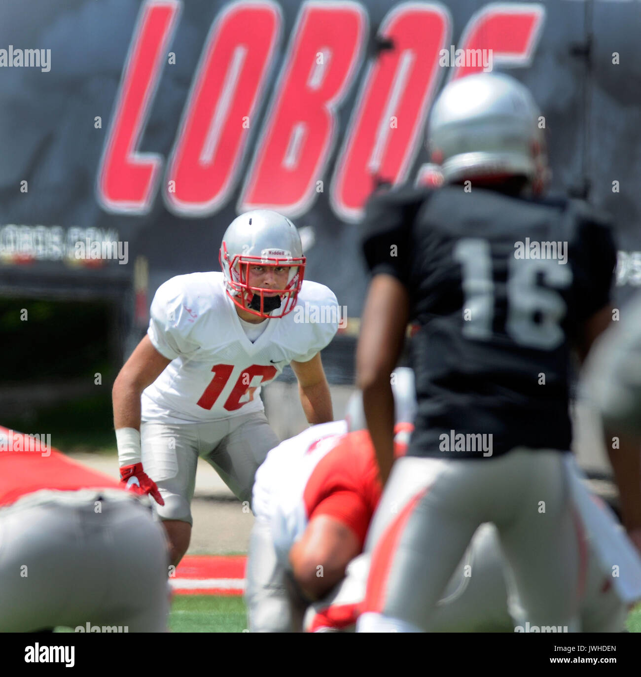 Tuioti hi-res stock photography and images - Alamy