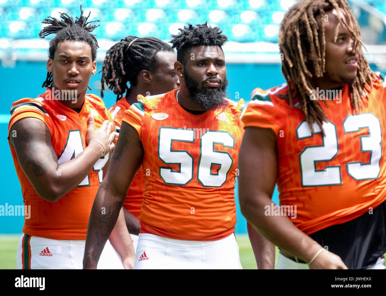 Canesfest High Resolution Stock Photography and Images - Alamy