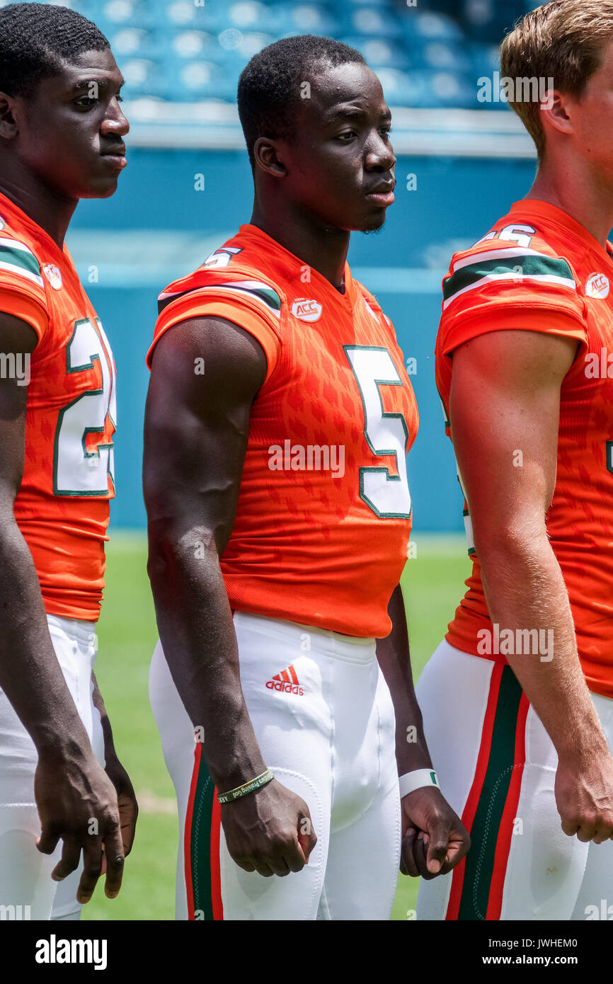 Canesfest High Resolution Stock Photography and Images - Alamy
