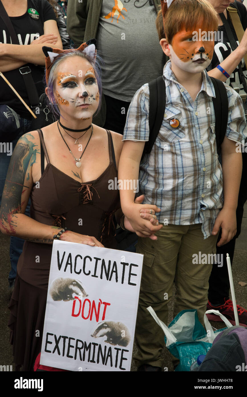London, UK, 12th August 2017. Make Badger Culling, Fox Hunting & Driven ...