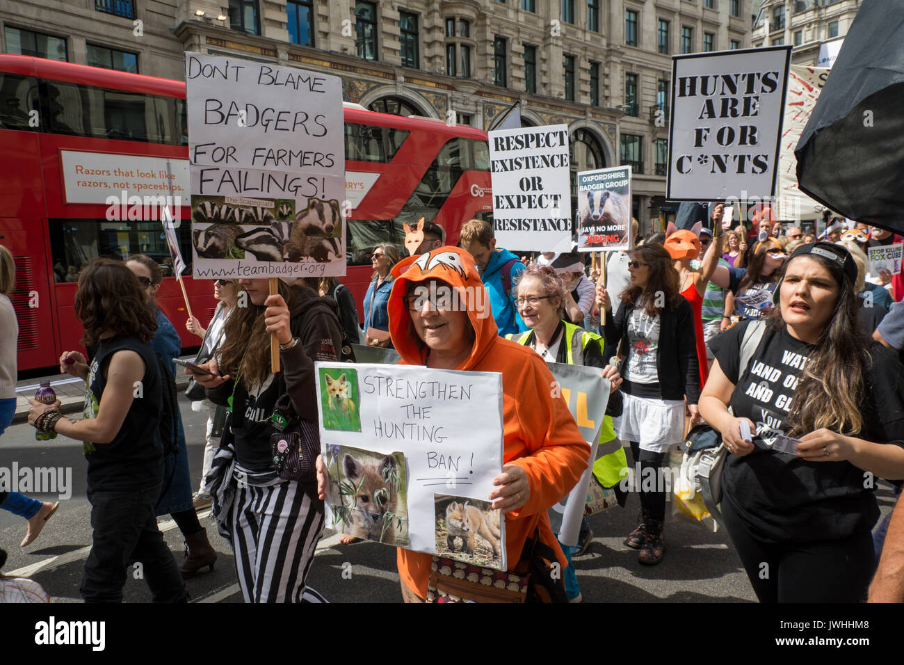 London, UK, 12th August 2017. Make Badger Culling, Fox Hunting & Driven ...